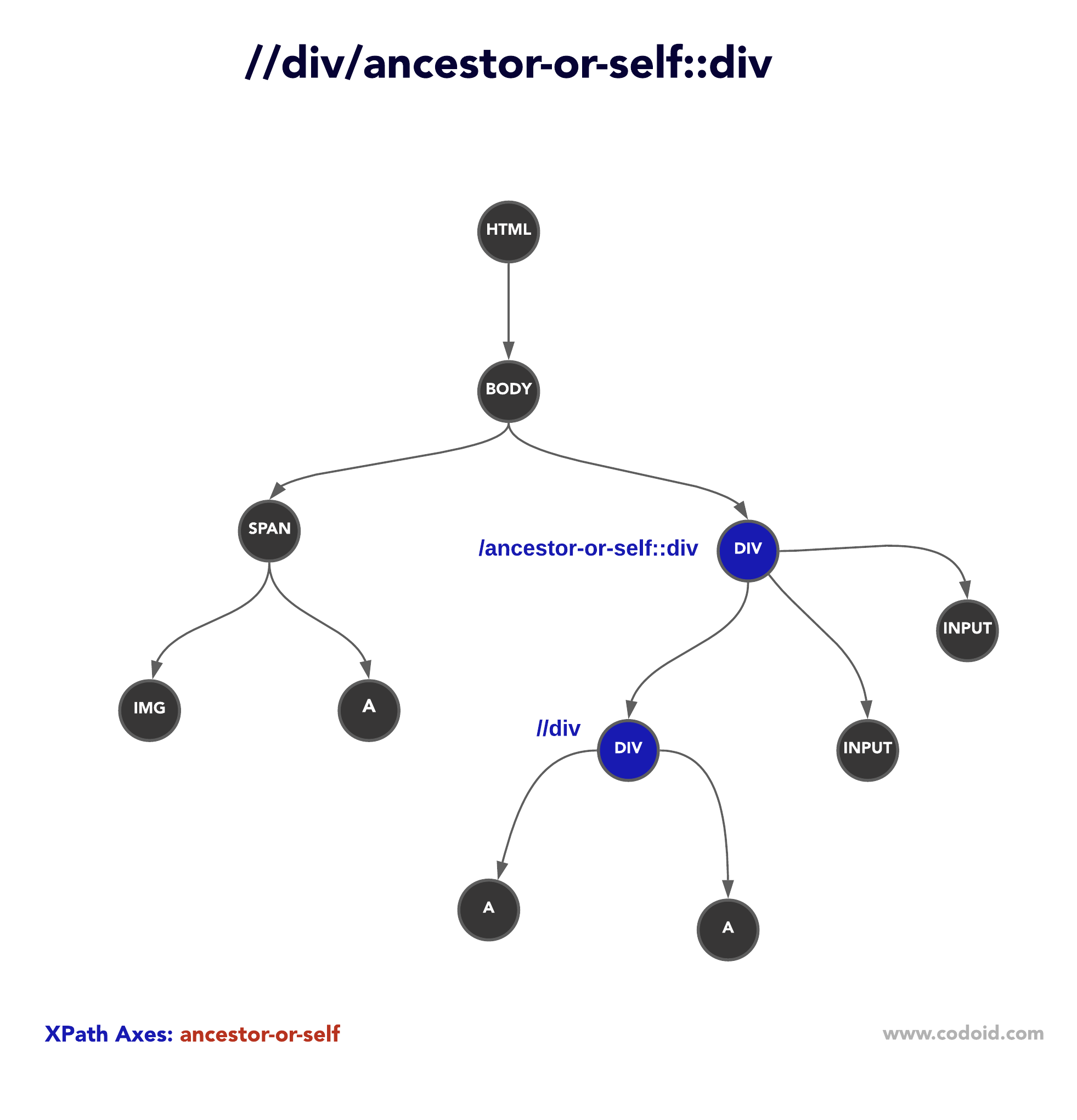 How To Use XPath Axes In Selenium Webdriver Codoid